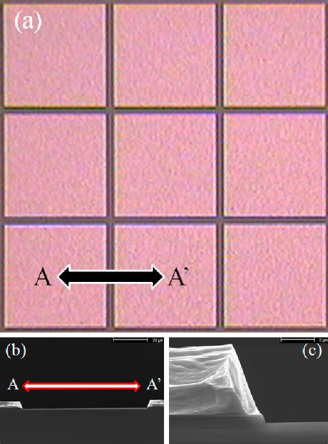 Figure 2 From A Tapered Aluminium Microelectrode Array For Improvement Of Dielectrophoresis