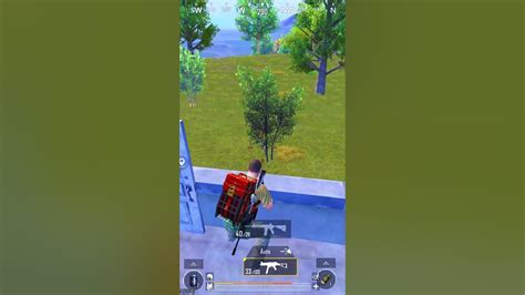 Cute Enemy 😂 Youtube