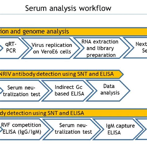 Sample Processing Workflow A Virus Detection And Genome Analysis