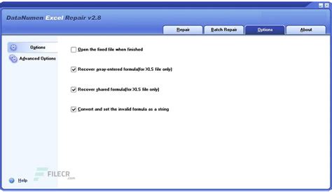 Datanumen Excel Repair 2900 Free Download Filecr