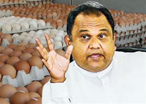 වෙළෙඳ ඇමති බිත්තර ආනයනයට කැබිනට් අනුමැතිය ගත්තෙ ජා ඇල කූල් රූම් හිමි ඥාති වරිගය සනසන්න… ~ Gossip