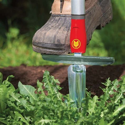 Buy 4cm Ks M Weed Extractor 71aaa023650 Online Nepal Online Shopping In Kathmandu Nepal