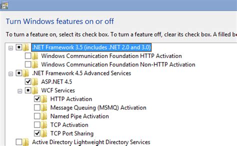 IIS Web Server Configuration