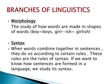 What Is Linguistics