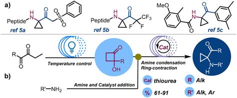 Two Step Continuous Flow Driven Synthesis Of 1 1 Cyclopropane Aminoketones Vapourtec