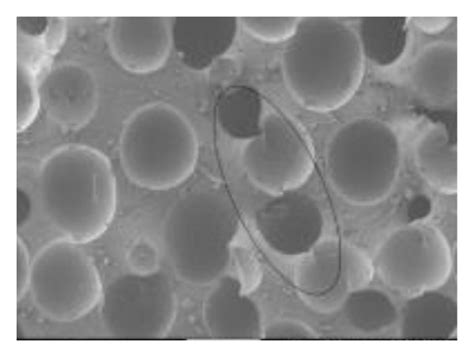 SEM images of the polymer at densities of a 0 15 g cm³ and b Download Scientific Diagram