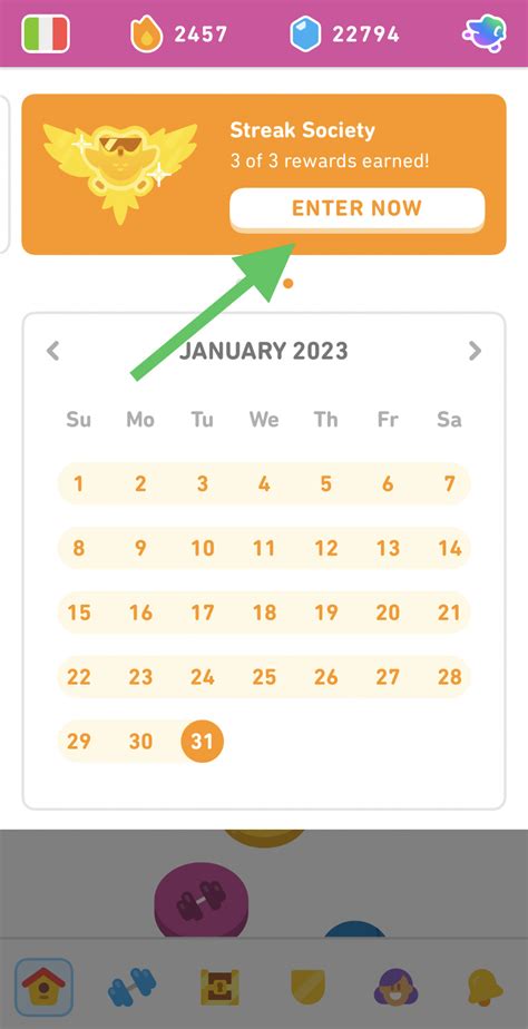 How To Change Your Duolingo App Icon Duoplanet