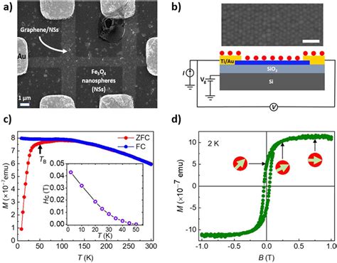 Graphenens Device And The Magnetic Properties Of Fe 3 O 4