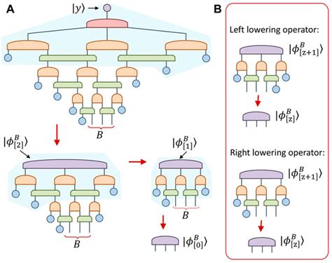 frontiers number state preserving tensor networks as classifiers for supervised learning