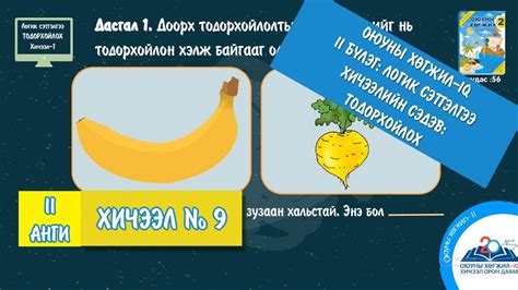 2 р ангийн Логик сэтгэлгээ бүлгийн 1 р хичээл Тодорхойлох Оюуны хөгжил Iq 2 р анги Youtube