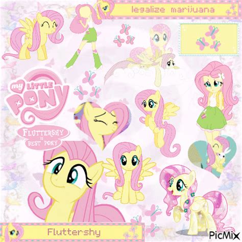 Flutter Shy Free Animated  Picmix