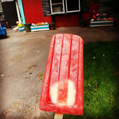 14 Grown Up Popsicle Recipes That Will Get You Drunk This Summer