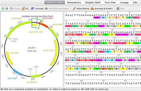 Geneious Prime Bioinformatics Software Geneious