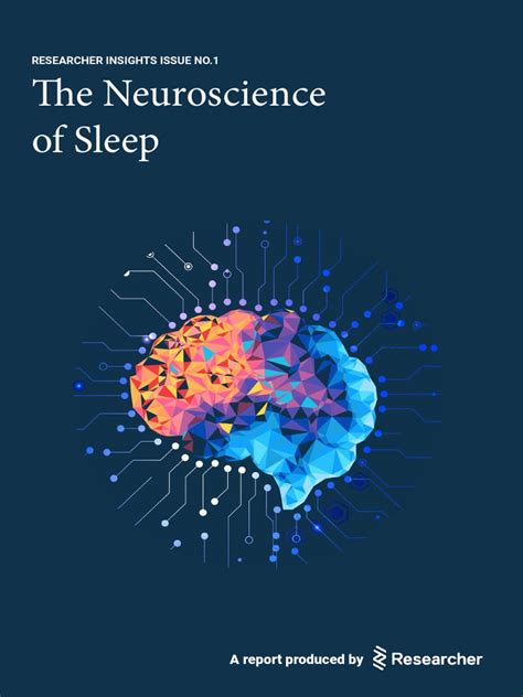 Researcher Insights The Neuroscience Of Sleep Pdf Sleep Sleep Deprivation