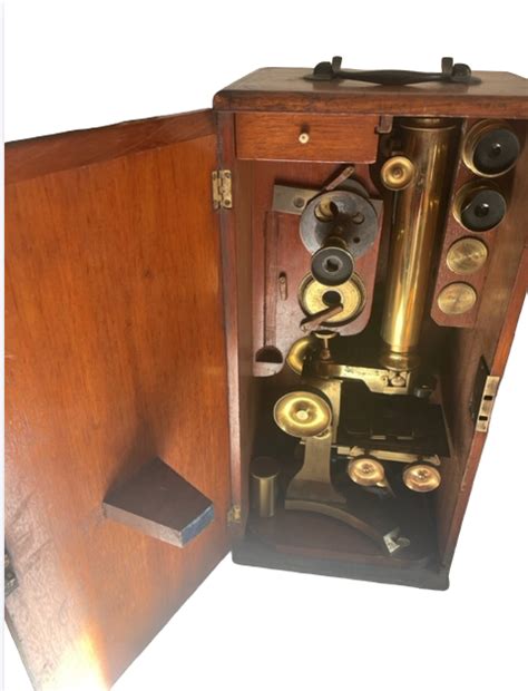 Binocular Microscope Charles Collins Microscopy Fleaglass