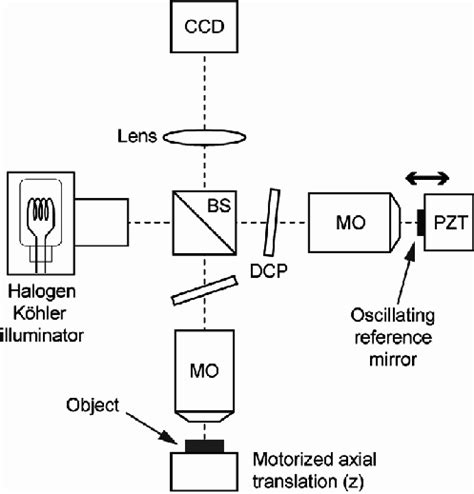Experimental Arrangement Of Full Field Oct Mo Microscope Objective Download Scientific