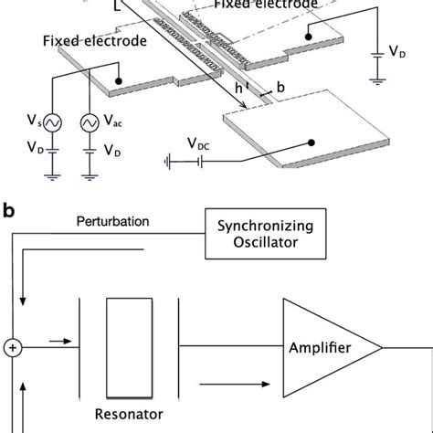Schematic Diagram Of The Model A The Structure Of C C Resonator With
