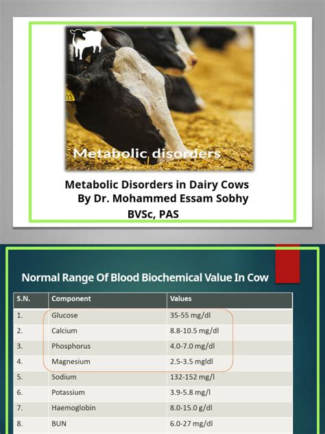 Metabolism Disorders In Dairy Cows Pdf Ruminant Fat
