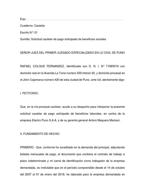 Solicitud De Medida Cautelar Pdf Mandato Derecho Laboral