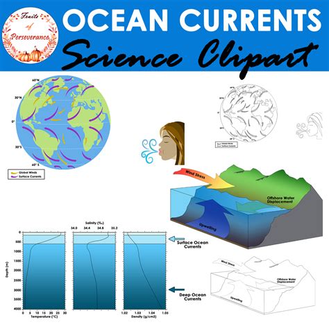Coriolis Effect Diagram
