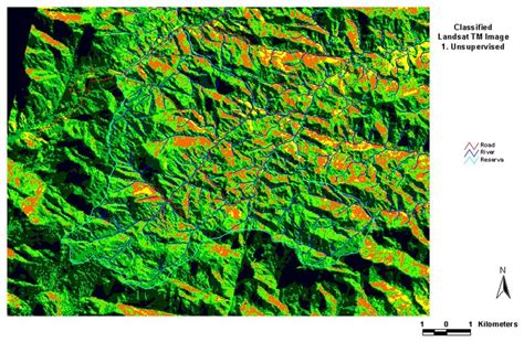 7 Unsupervised Classification Of Landsat Tm Image Open Areas In Brown Download Scientific