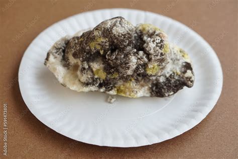 Closeup Sticky Rice Covered With Fungus Bacteria And Germs Spoiled