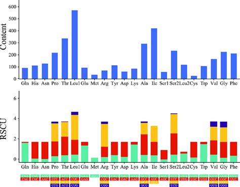 Codon Distribution And Relative Synonymous Codon Usage In T