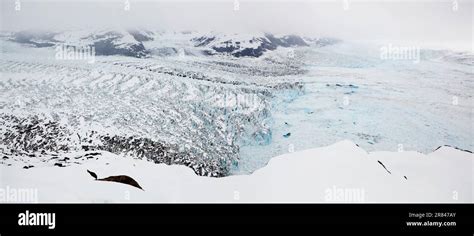 The Heavily Crevassed Terminus Of The West And Main Branches Of The