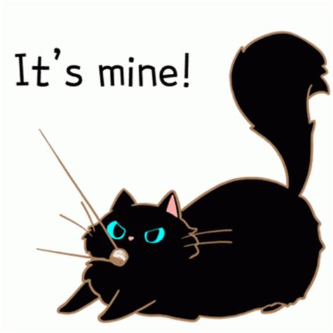 Black Cat Kissing White Cat Cartoon  At Jackson Beattie Blog