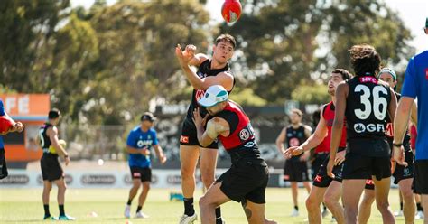 I Think I Ve Got What It Takes Mcentee Loving First Afl Pre Season