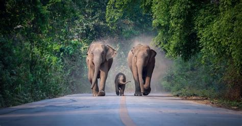 minervadb on linkedin step by step guide to migrating from postgresql