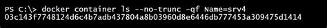 More Fun With Docker Containers And Powershell • The Lonely Administrator