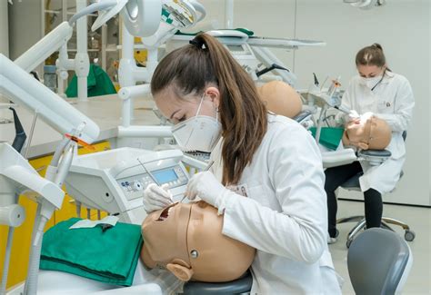 Dentistry Programme