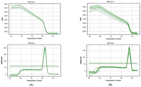 A Melt Curve A And Its First Minus Derivative B From Qpcr Of The