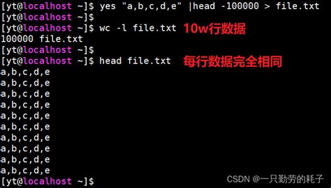 Linux 快速构造大数据文件linux大数据 Csdn博客 Linux 快速构造大数据文件linux大数据 Csdn博客