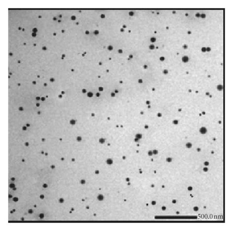 Tem Image And Size Distribution Of The Senp Ocs Powder Download Scientific Diagram