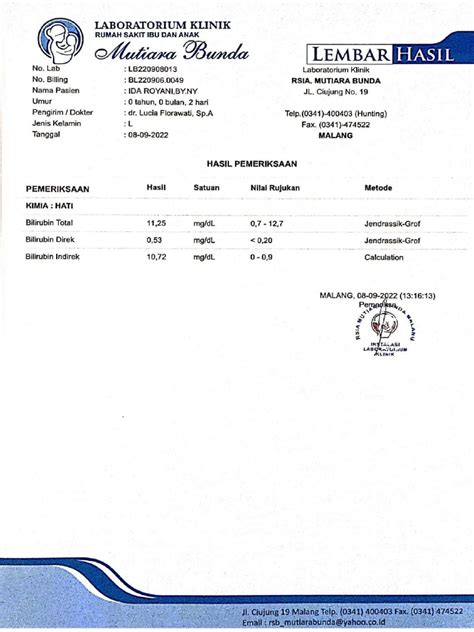 Hasil Bilirubin Pdf