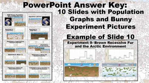 Phet Bunny Population Natural Selection Lab Lab Handout Answer Key