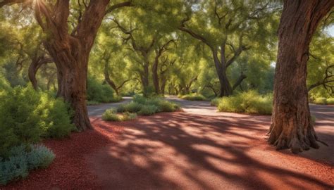 Best And Fun Things To Do Places To Visit In Red Bluff California