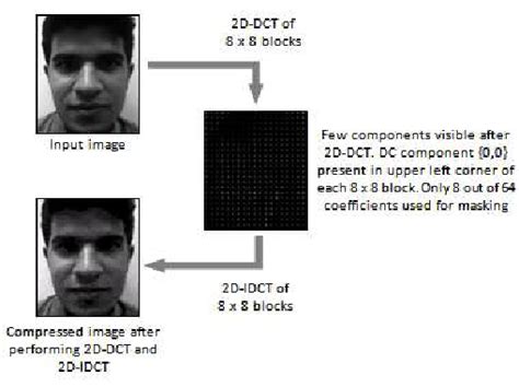 2d Dct Computation Of Face Image Download Scientific Diagram