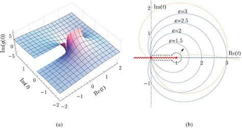 A The Plot Of Imgt Over The T Complex Plane For ε3 Two Branch