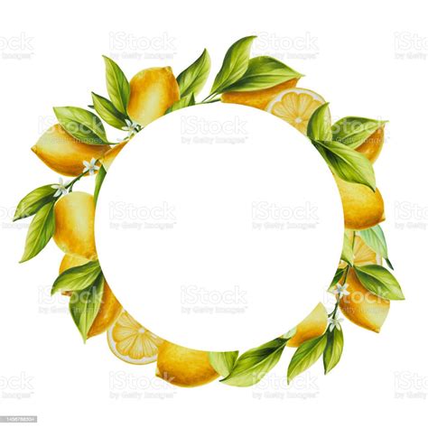 밝은 녹색 잎과 꽃이 있는 신선한 익은 레몬이 있는 수채화 프레임 손으로 그린 컷 감귤류 슬라이스는 흰색 배경에 그림을 그립니다 디자이너 엽서 파티 초대장 포장지 표지