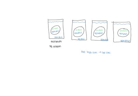 Diffusion Experiment