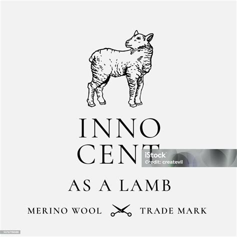 어린 양처럼 순진합니다 추상 벡터 기호 기호 또는 상징 템플릿입니다 손으로 그린 양고기 실루엣과 복고풍 타이포그래피 빈티지 럭셔리 메리노 울 벡터 엠블럼 메리노 양모에 대한