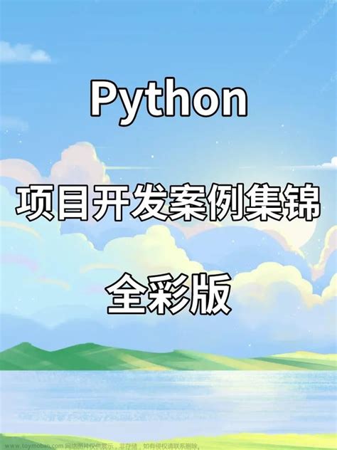 Python案例讲解视频python简单案例分析 Toy模板网