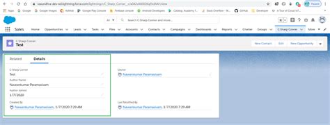 Creating Custom Fields In Salesforce Lightning Platform