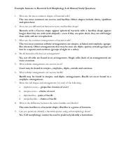 Example Answers To Bacterial Cell Morphology Lab Manual Study Questions Pdf Example Answers To