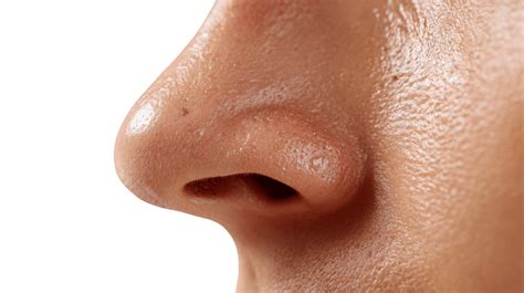 Nose Pngs For Free Download