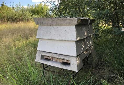 Beekeeping Beebunka Sustainabledesign Africanspring2025