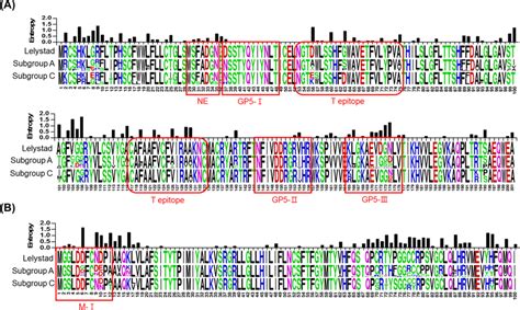 The Alignment And Entropy Plot Amino Acid Diversity Of Gp5 And M Of Download Scientific